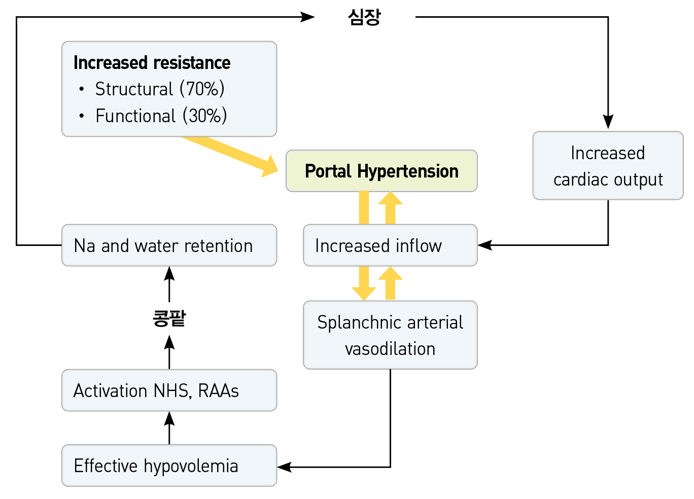 문맥압항진증 - Metamedic