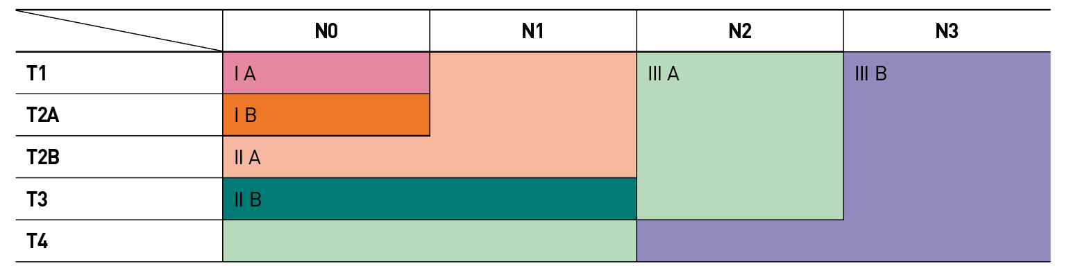폐암: 진단 - Metamedic