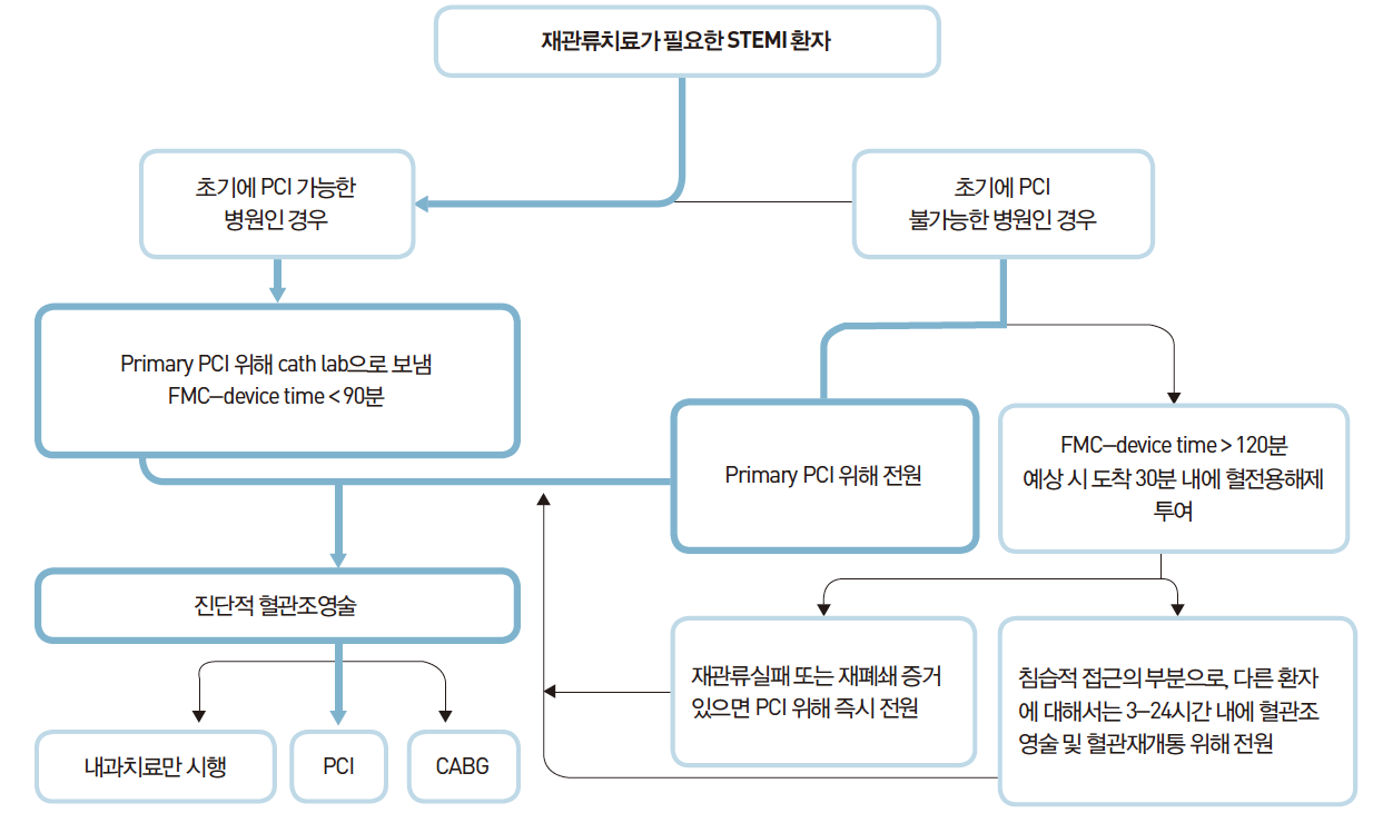 ST segment elevation acute coronary syndrome (STEMI): 치료 - Metamedic