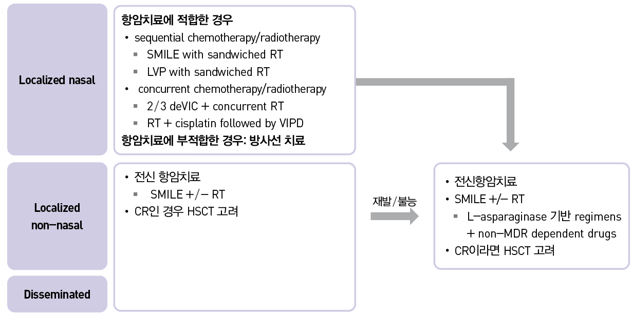 비호지킨 림프종 - Metamedic